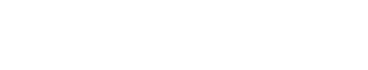 Helen Atkins - Commissioner / Barrister in New Zealand